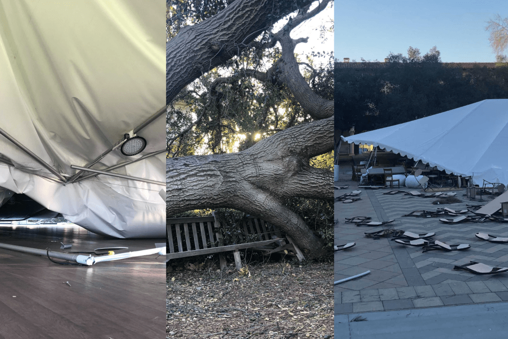 PHOTOS: Wind storm wreaks damage across campus - The Student Life