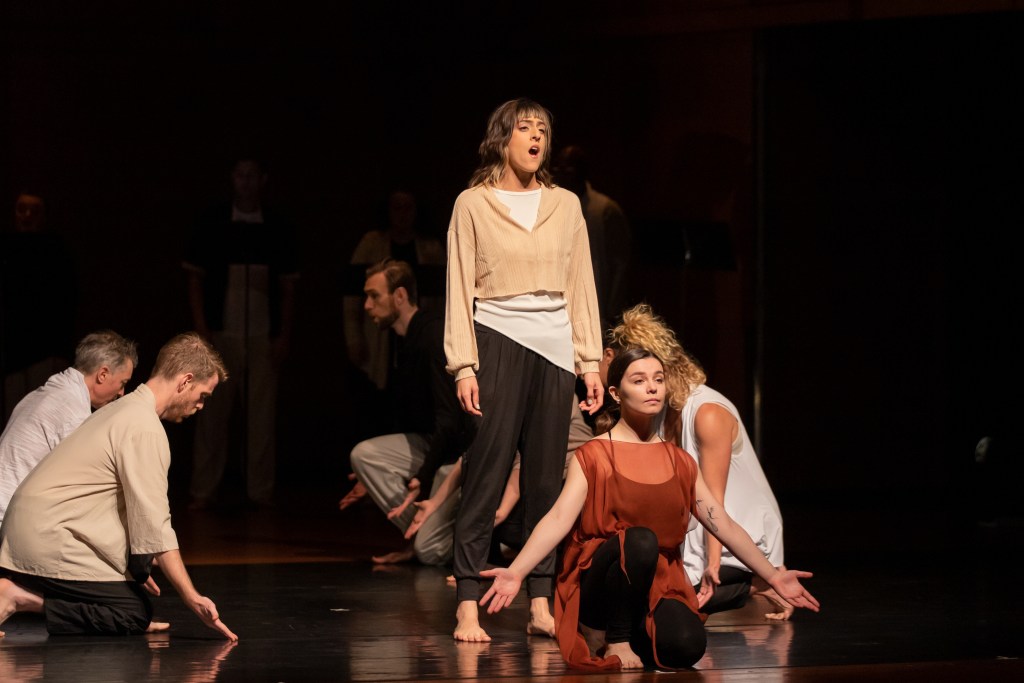 12th century Sufi poem ‘The Conference of the Birds’ reimagined with ...