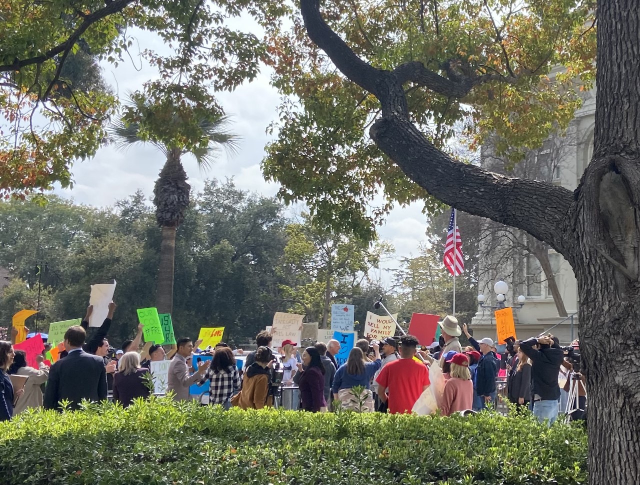 Larry David shows enthusiasm for Carnegie Hall’s ‘Curb’ appeal - The ...