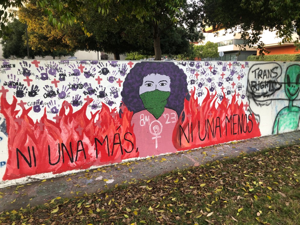 OPINION: Lessons from the Latin American feminist movement - The ...