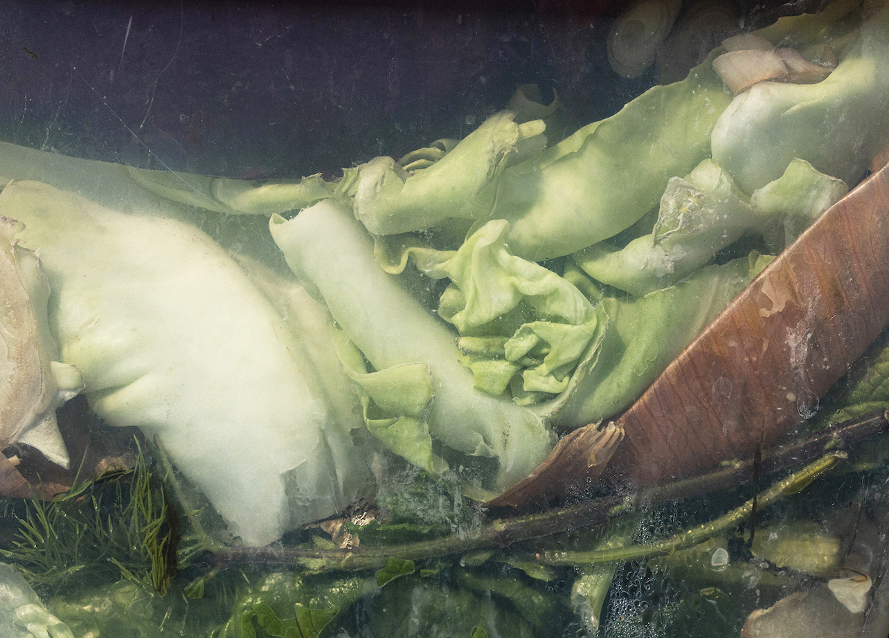 From waste to wonder: Nancy Macko’s ‘Decompositions’ - The Student Life